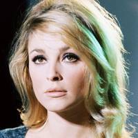 Who Is Sharon Tate | British Vogue