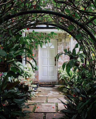 Best Garden Instagram Accounts | British Vogue